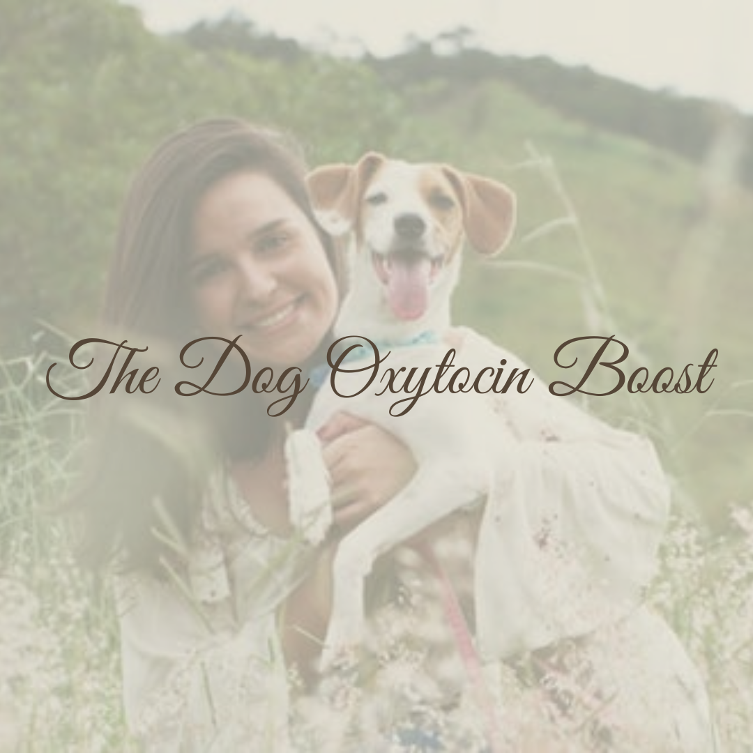 The Dog Oxytocin Boost | Life With A Dog